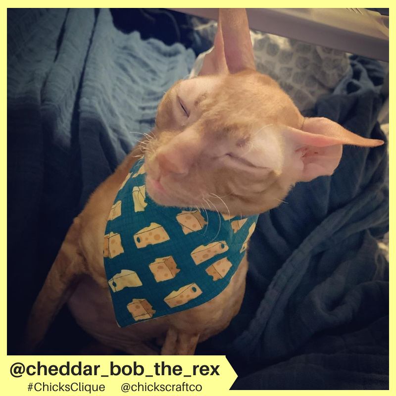 cheddar_bob_the_rex (4) – Chick's CRaft Company